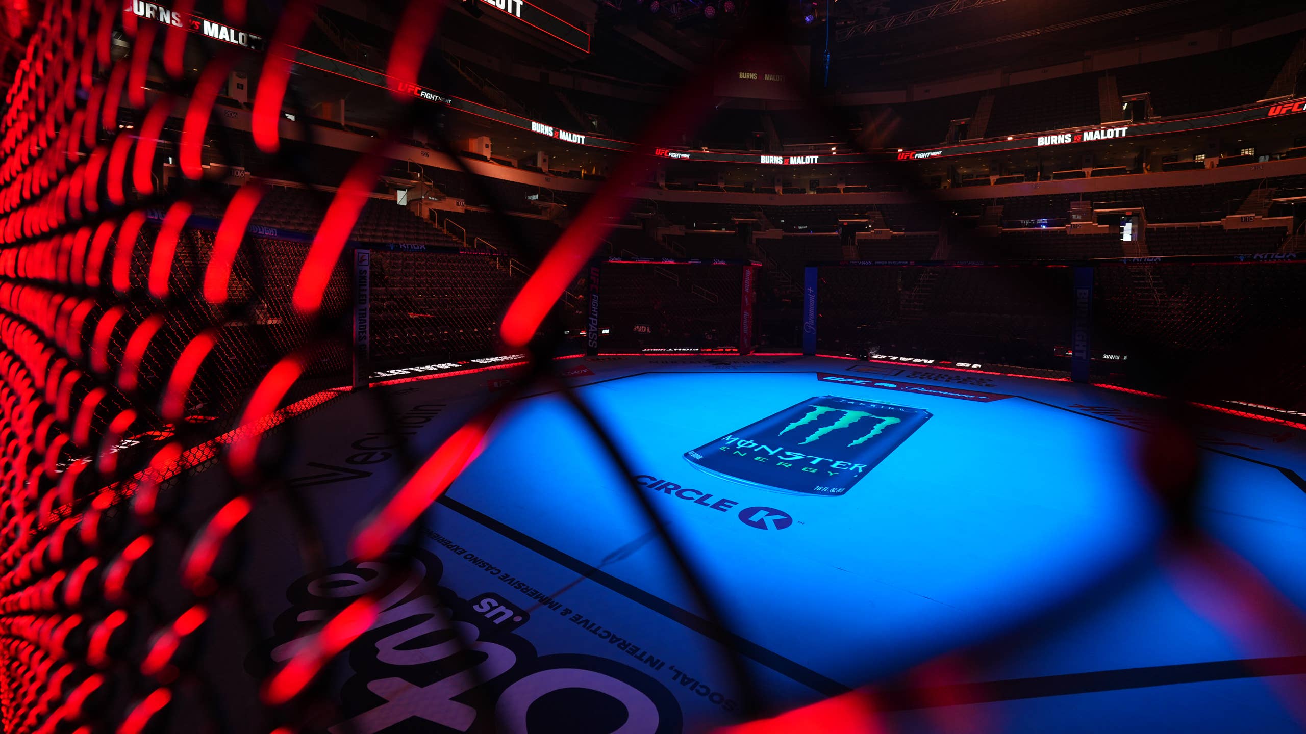 Beloved MMA Fighter Killed by Black Bear as Tragic New Detail Emerges ...