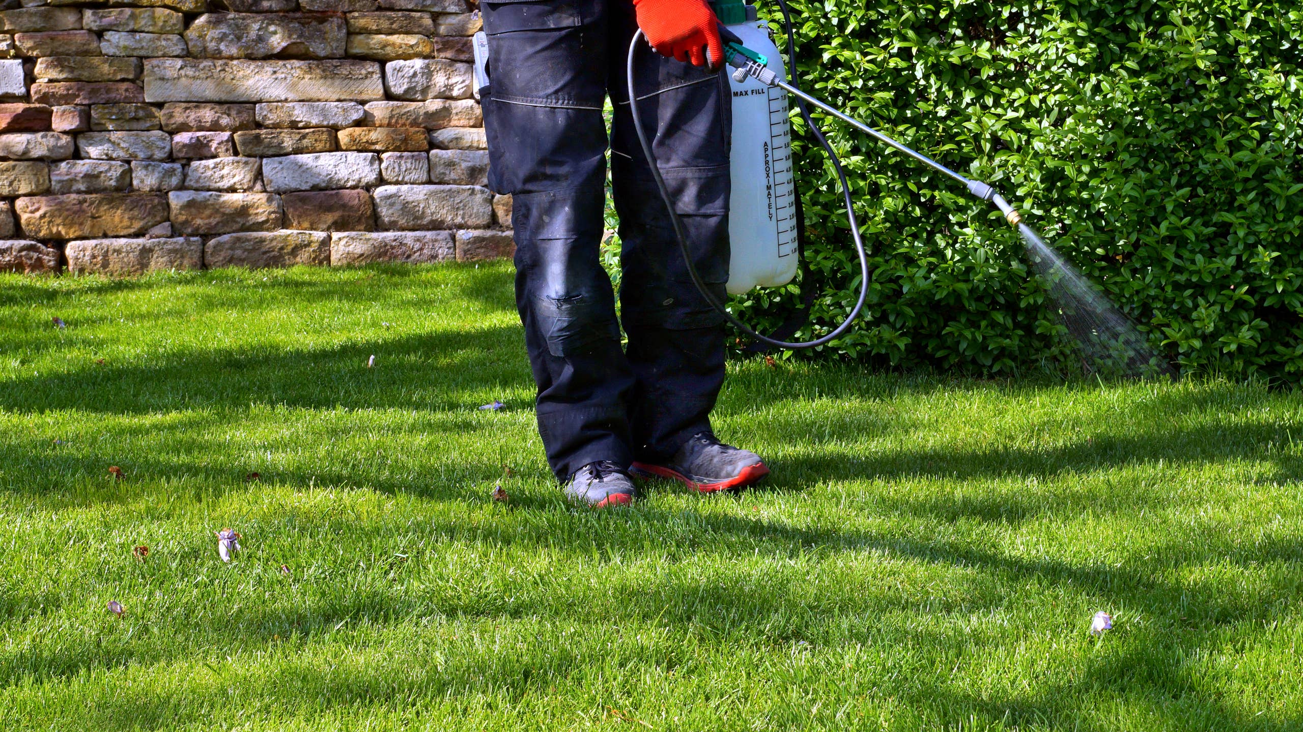 Best Time to Spray Weed Killer in Spring and Fall - Men's Journal
