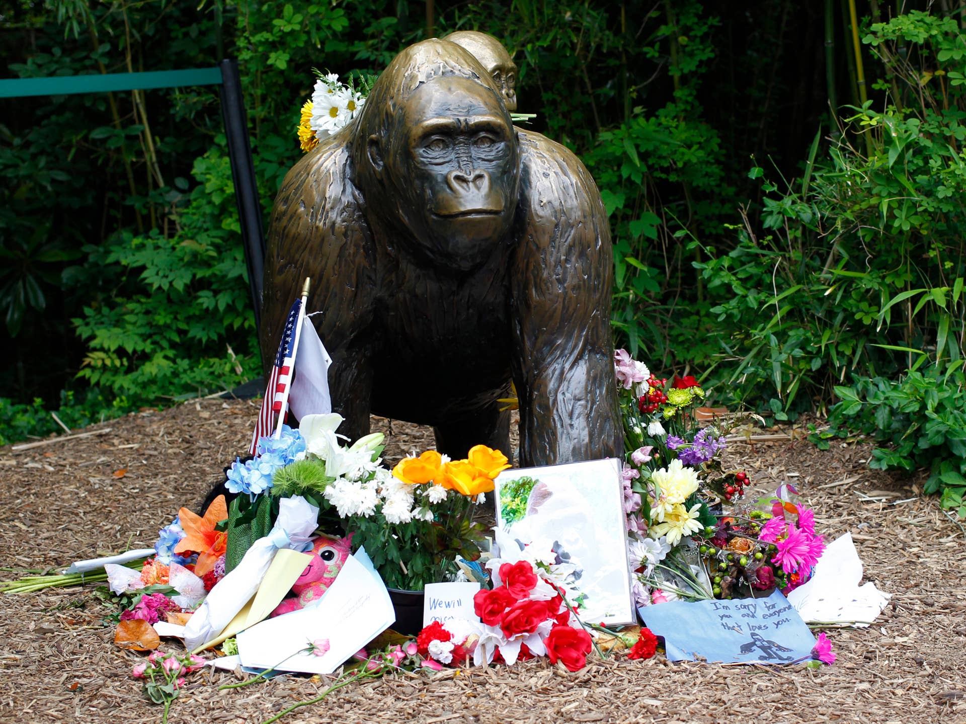 Today Marks 10 Years Since Harambe’s Death - Men's Journal