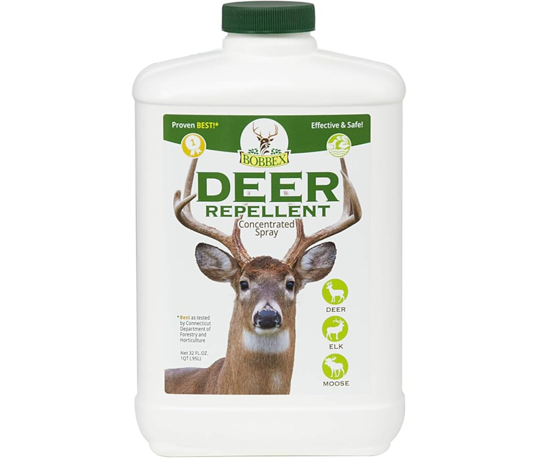 Best Deer Repellents of 2026: How to Keep Deer Out of Your Yard - Men's ...