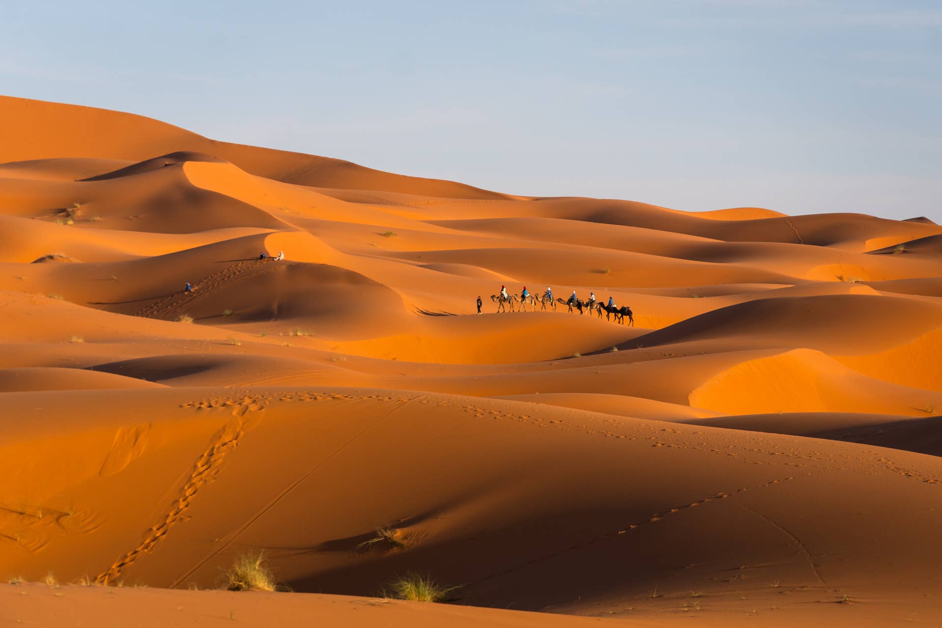 Dozens Found Dead in the Sahara Desert — And the Cause Is Absolutely ...