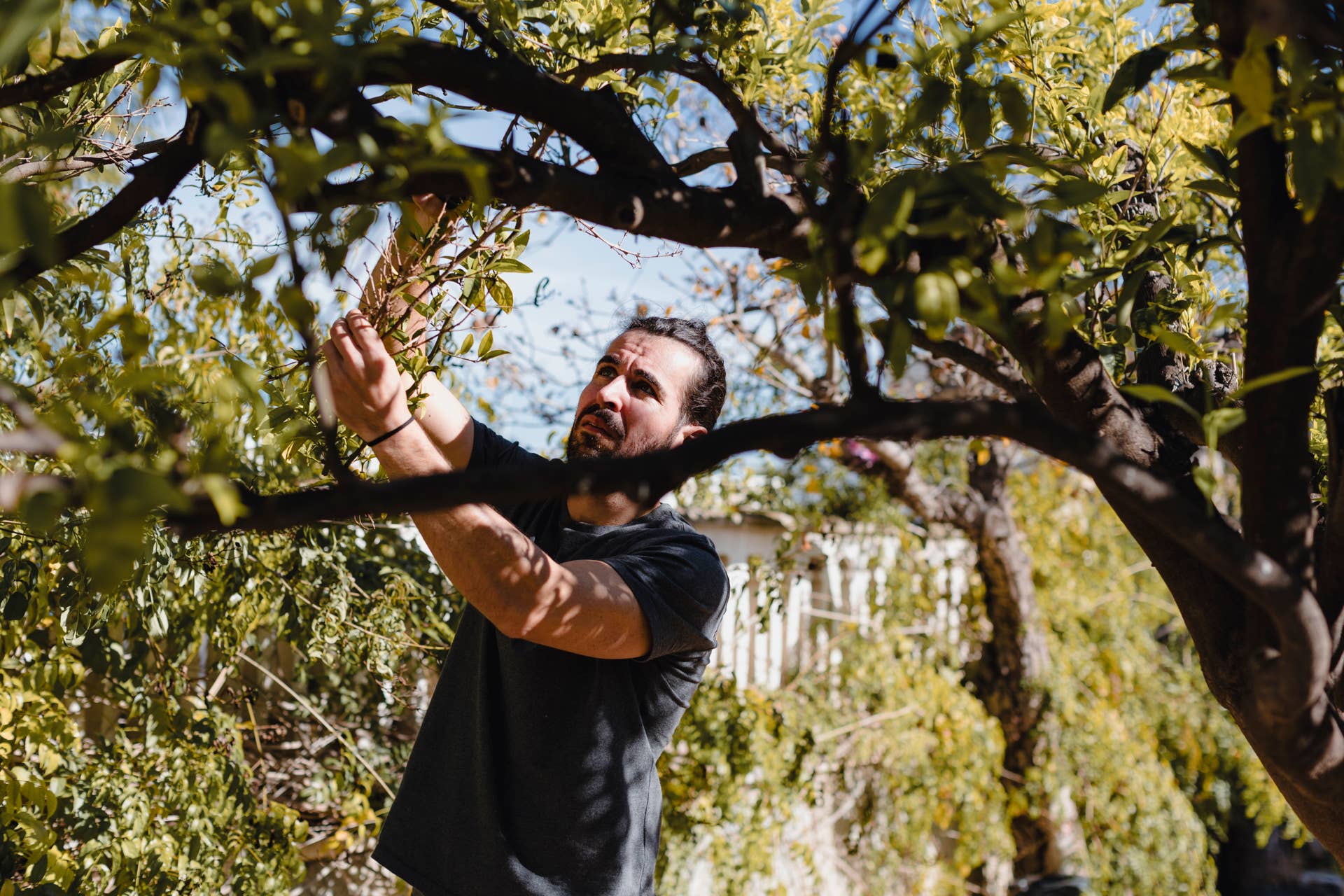 Fiskars Lopper and Pruner Garden Tool 3-Piece Set Review - Men's Journal