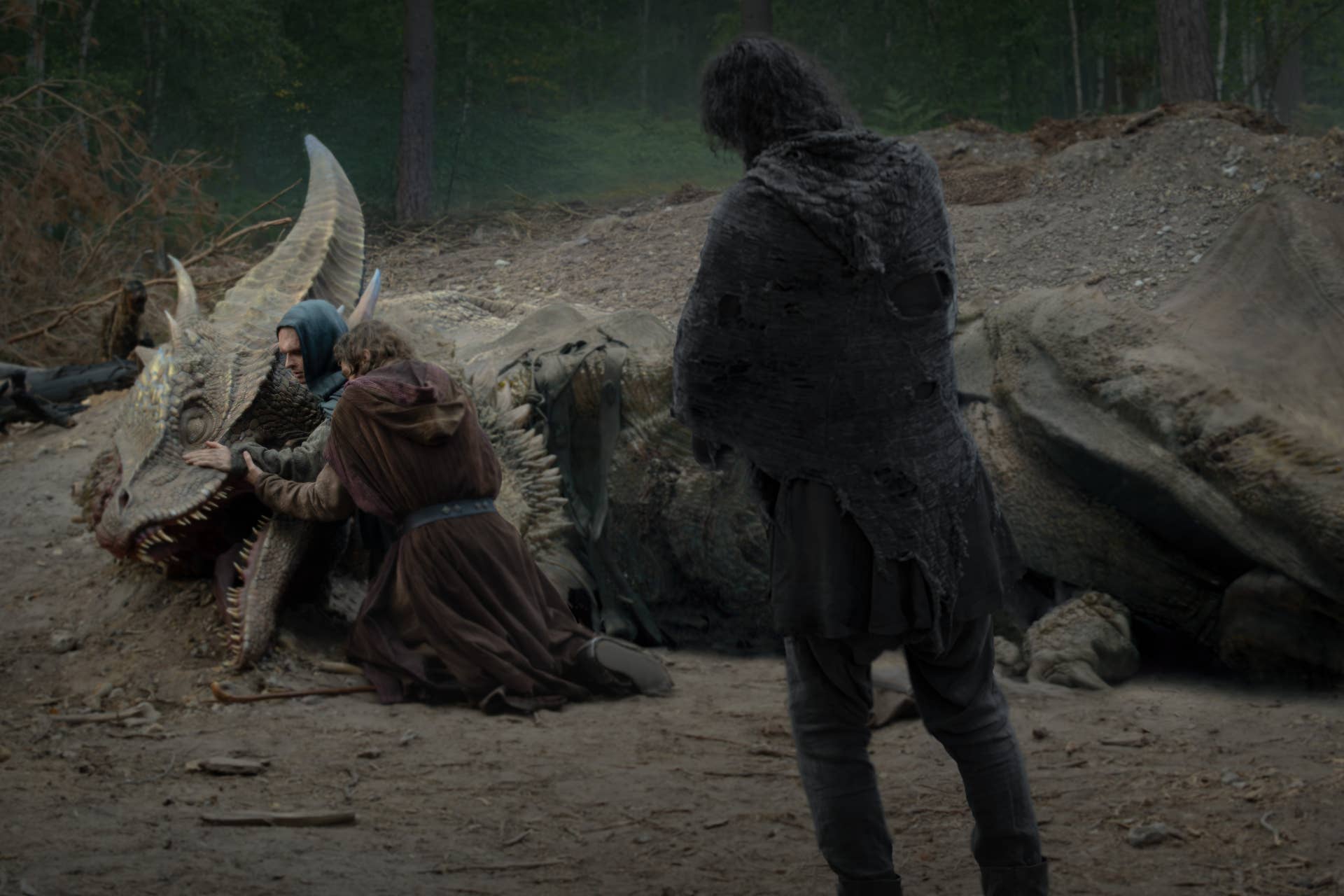 Is Sunfyre Still Alive in 'House of the Dragon' Season 3? What We Know ...