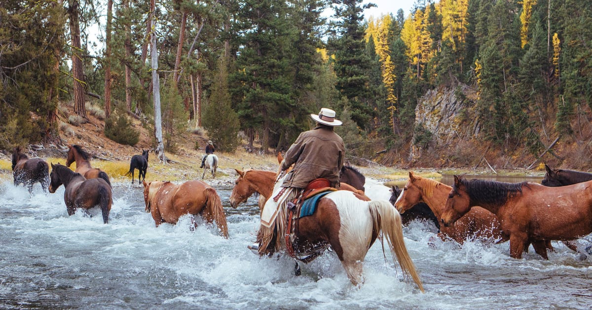 The Resort at Paws Up Is the Best Dude Ranch to Live Like a ...