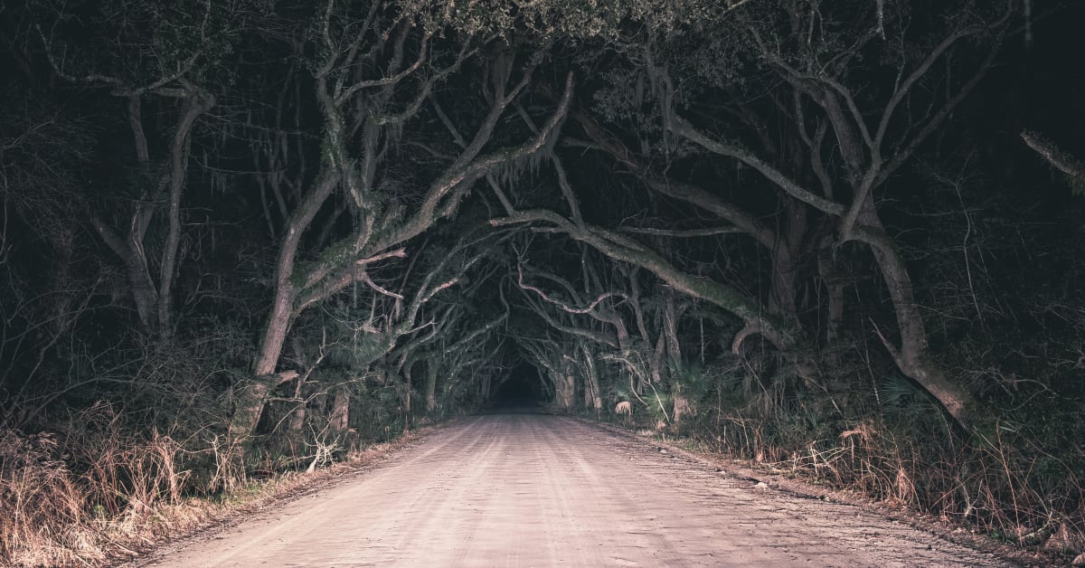 These Are the Most Haunted Roadways in the United States, Report Finds