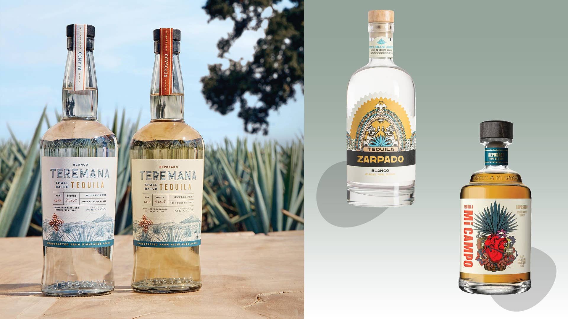 15 Best Cheap Tequilas to Drink in 2025