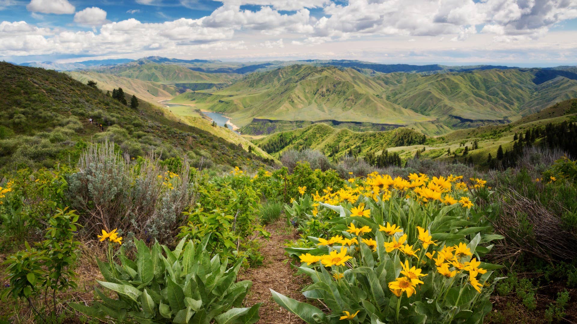 10 Wild Things to Do in Boise, from Brewery-Hopping to Skiing, Biking ...