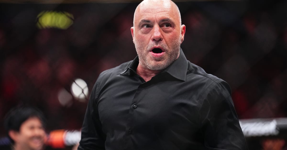 Joe Rogan Is Going Viral for His Daughter's Birthday Cake