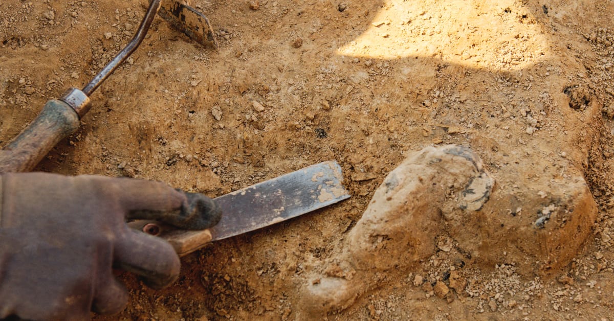 Archaeologists Find Rare, Complete Kit of Pre-Roman Iron Tools