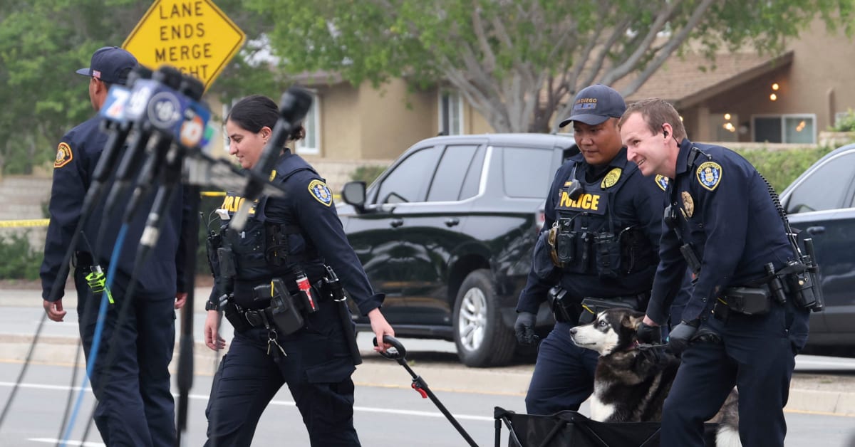 Dave Shapiro Was 'Big Shot' Talent Agent & Pilot