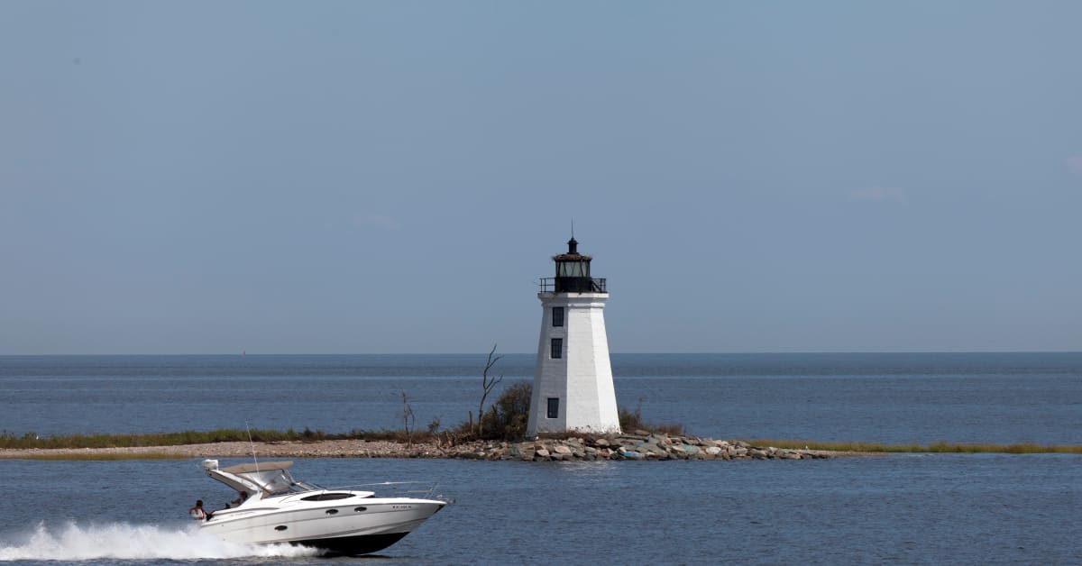 Dangerous Tick Outbreak Will Close Connecticut Beach All Summer ...