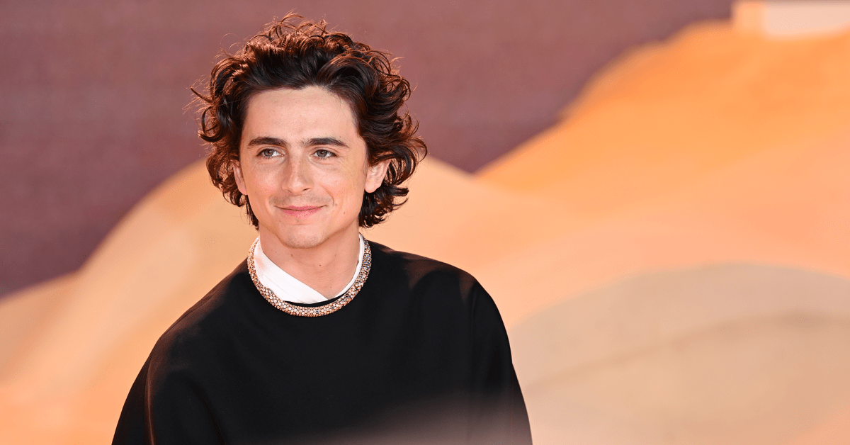 Timothée Chalamet's Net Worth (2025)