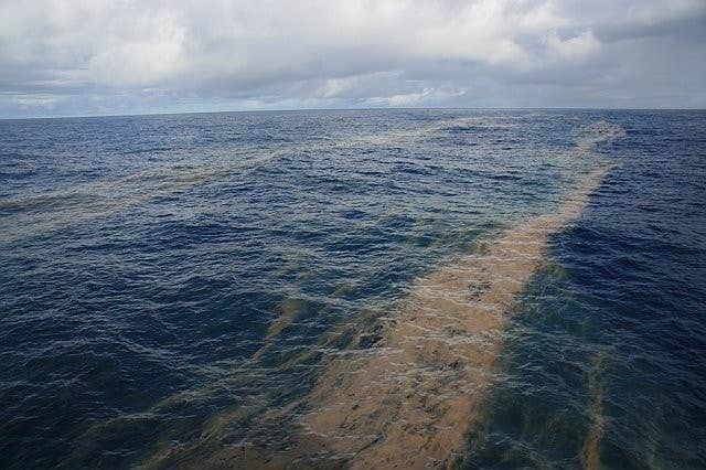 Our Oceans Are Turning Green Because of Climate Change