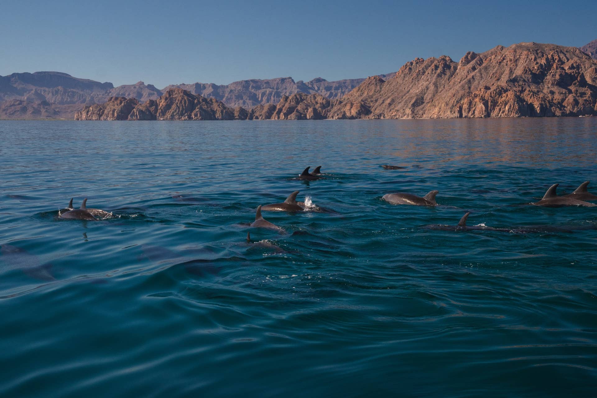 Travel Guide: What to Do Islands of Loreto, Mexico | Men's Journal