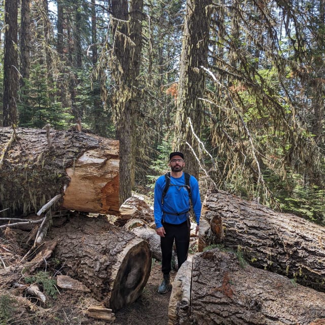 Articles by Peter Gonzalez