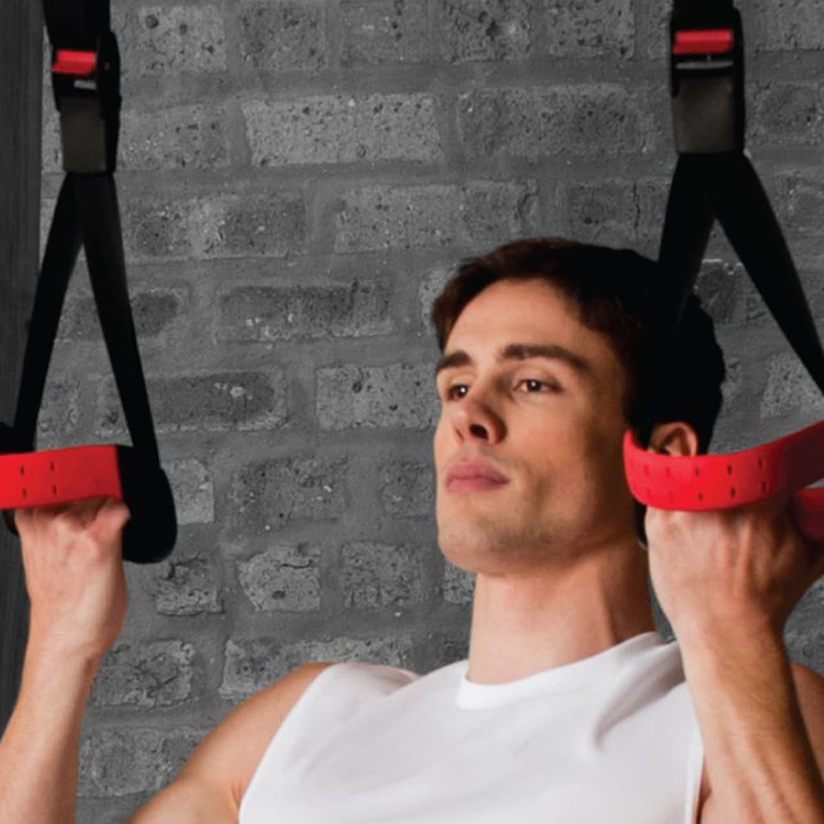 Lifeline Jungle Gym Xt Suspension Training System | EOUA Blog