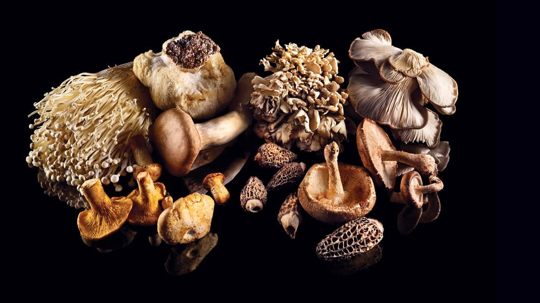 Mushroom Types For Cooking Fungi Cheat Sheet 📕🍄 Swipe To Meet