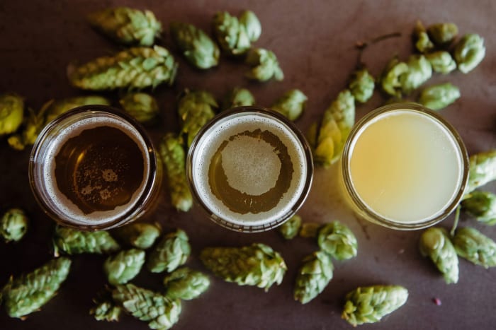 What 10 Popular Hops Varieties Bring to Your Favorite Beers
