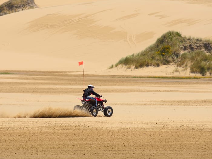 The Mighty American Road Trip: Explore the rugged, foggy wilderness and ...