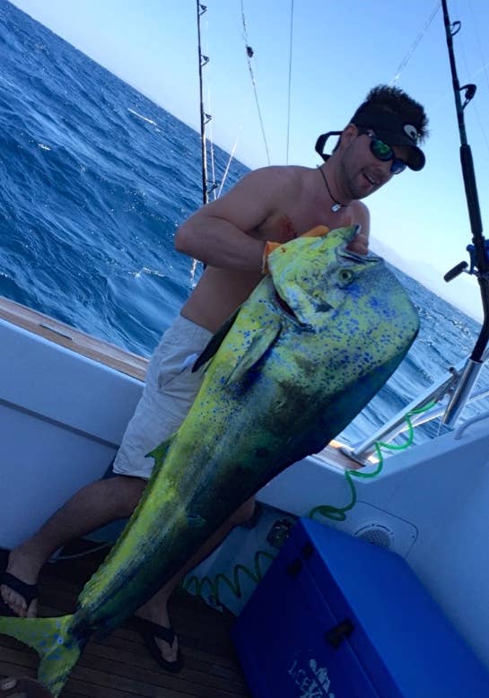 Dorado caught off Cabo possible world record | GrindTV.com
