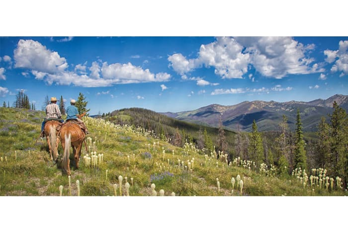 The United States of Adventure: Epic Trips in All 50 States