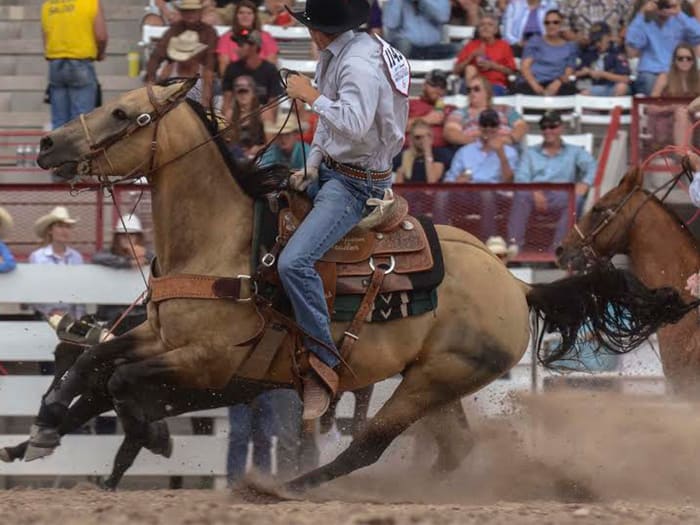 The Mighty American Road Trip: Get your adrenaline pumping on this wild ...