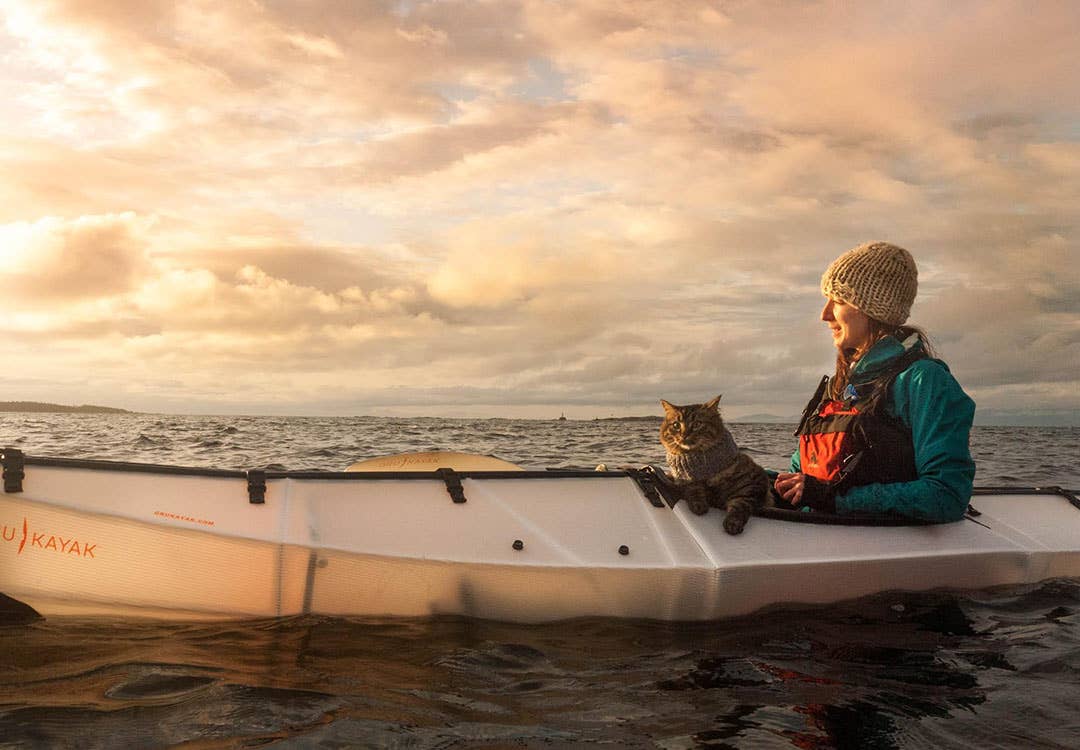 Women find kittens in the trash, transform them into adventure cats