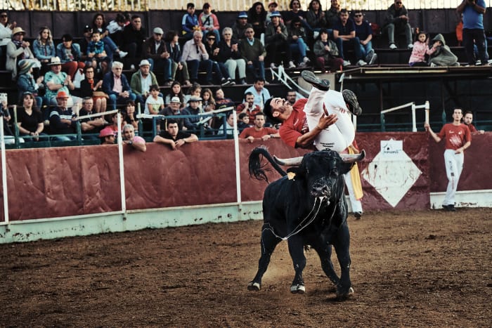 Meet Spain’s Insane Nonviolent, High-Jumping Bullfighters