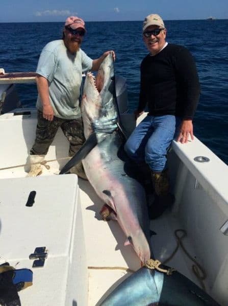 Huge mako shark is fourth-largest caught in Louisiana waters