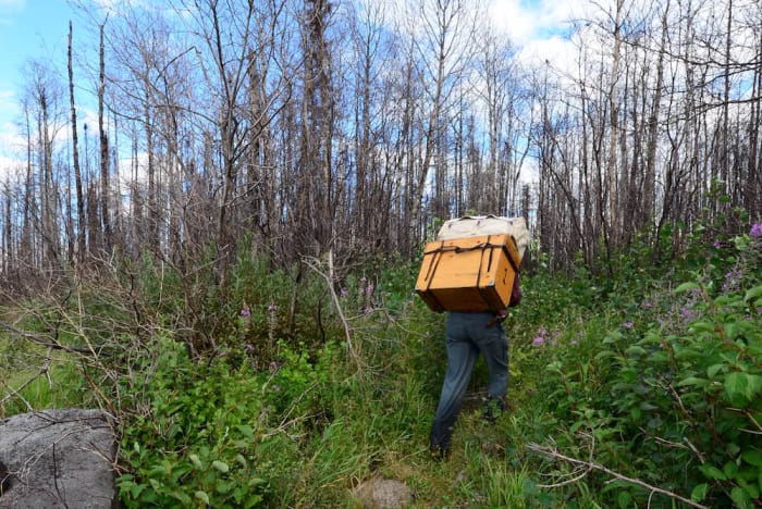 What's In My Wannigan?