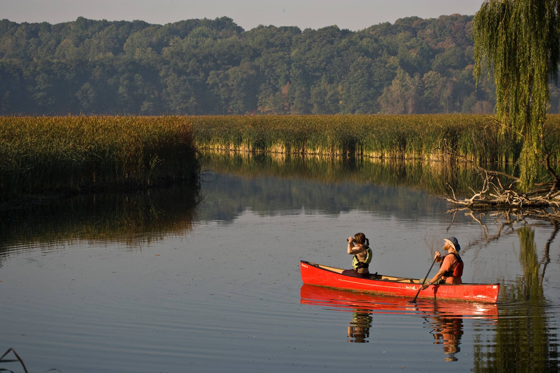 The Anatomy of a Canoe: A Beginner's Guide