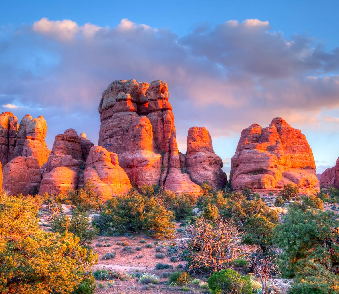8 Ways to Celebrate the National Parks Service Centennial This Summer