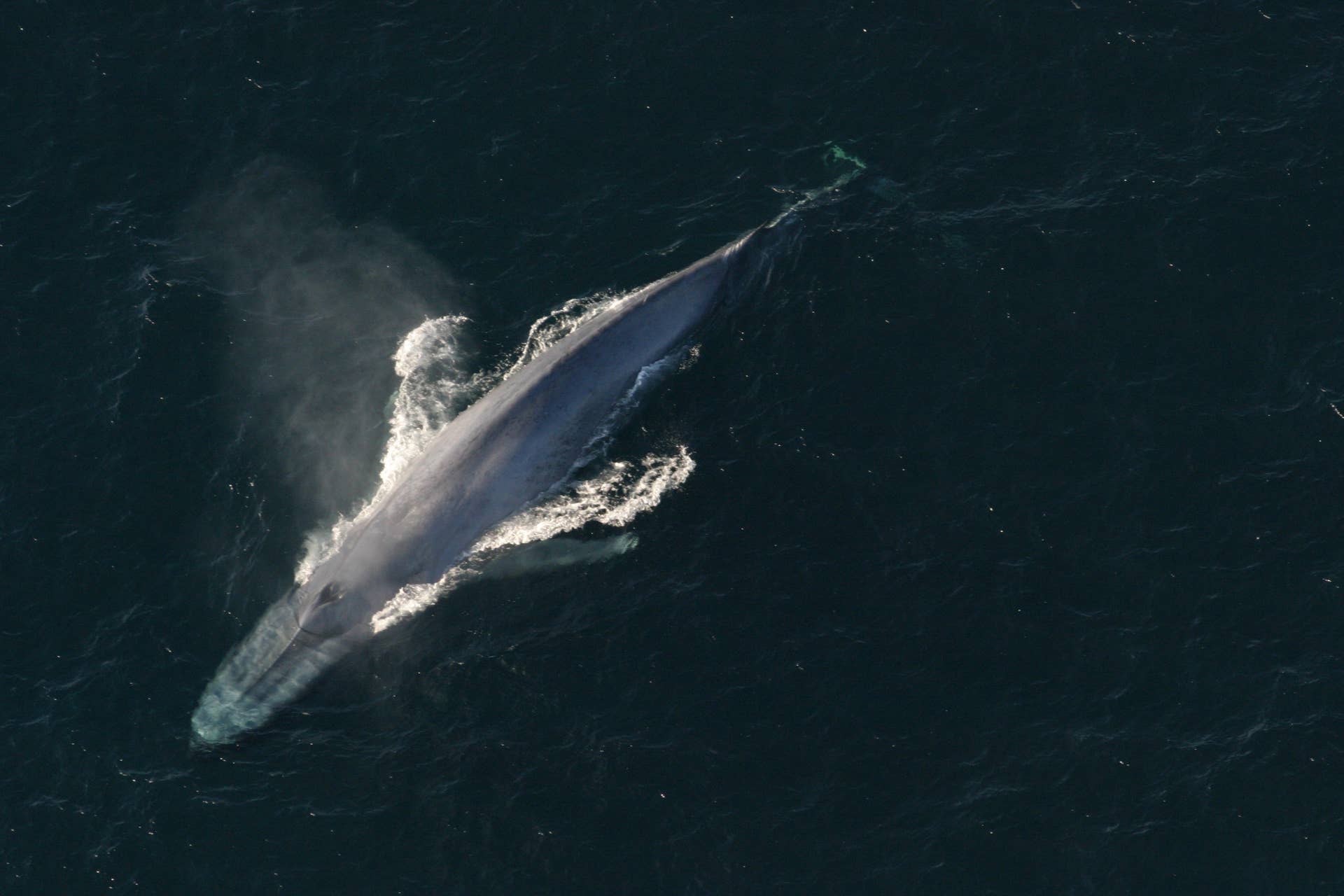 Climate change may harm key ocean bacteria | GrindTV.com
