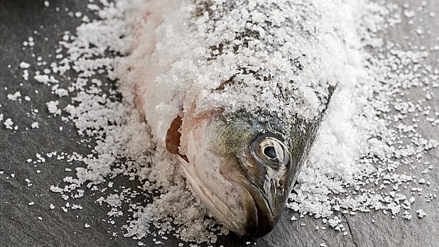 Seafood Master Class: 5 Pro-Level Fish, Scallop, and Mussel Recipes ...