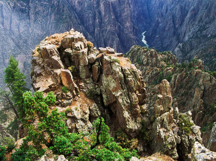 15 National Forests Perfect for Your Next Camping Trip