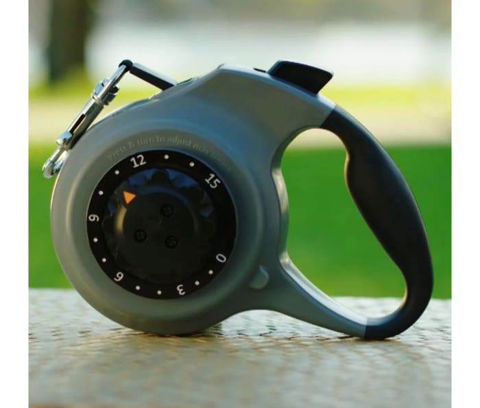 12 Best Dog Leashes of 2022 | Men's Journal - Men's Journal