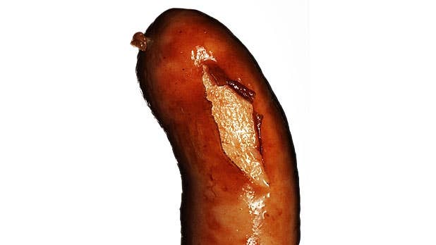 12 Things Every Man Should Know About His Penis
