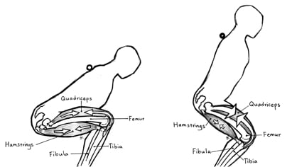 How to Do a Perfect Squat - Men's Journal