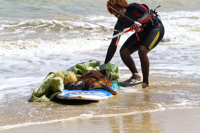 World champion kitesurfer rescues sea turtle