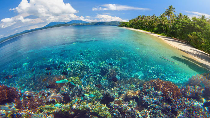 How to Deal With 6 of Surfing’s Nastiest Sea Creatures