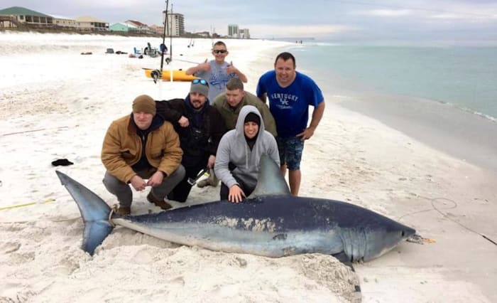 Military fishing team lands giant mako shark from Florida beach
