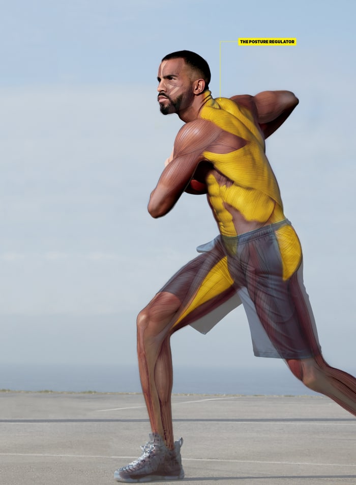 The Muscles That Actually Make Up Your Core