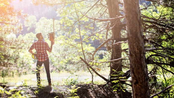 How to Chop Down a Tree