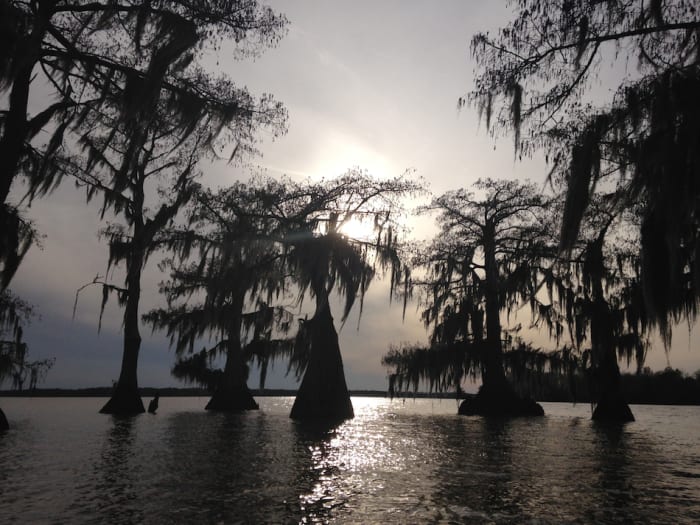 What is Bayou Paddling?