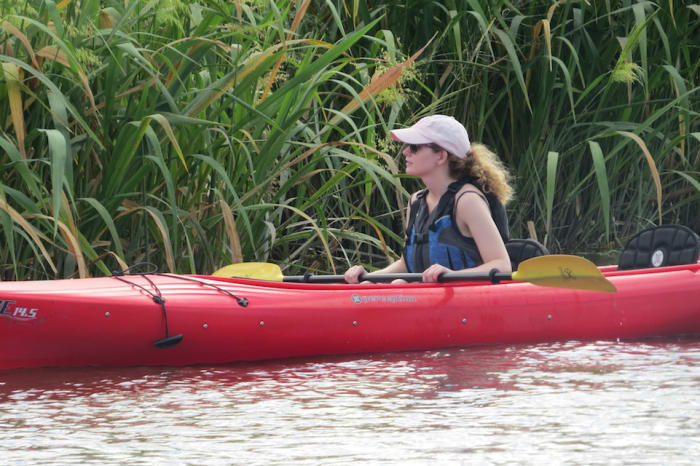 Destination: The Ashley River, South Carolina
