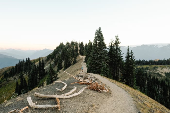 Pacific Northwest Road Trip Planner: The Best Trails, Beaches, and ...