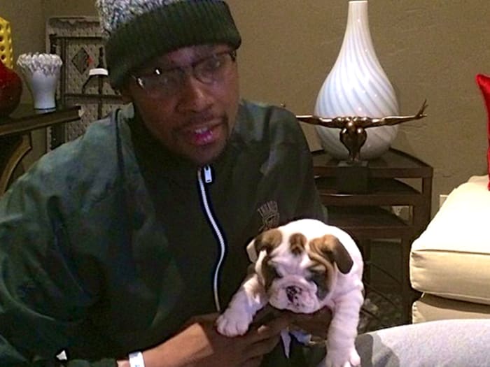 Sports Stars and Their Pets: 25 Athletes and Their Awesome Animal Buddies