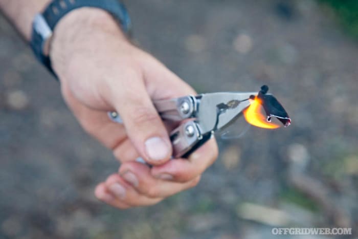 A guide to finding 'fatwood' and how to use it for fire-starting