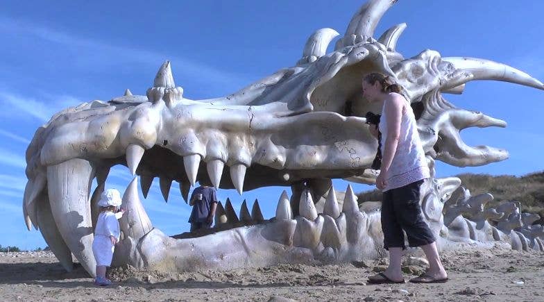The discoʋery of the legendary ancient Dragon skull washed up on the ...
