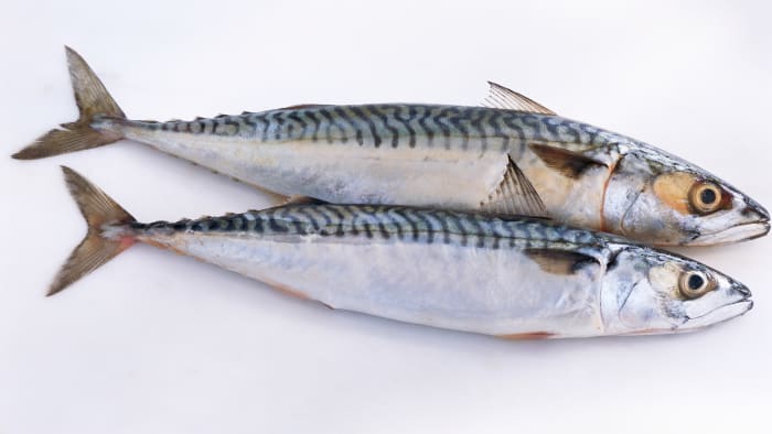 The Reason Why Sardines Are the Perfect Protein